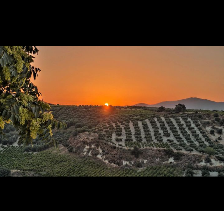 Ηλιοβασίλεμα στην Κρήτη (φωτο) | ekriti.gr