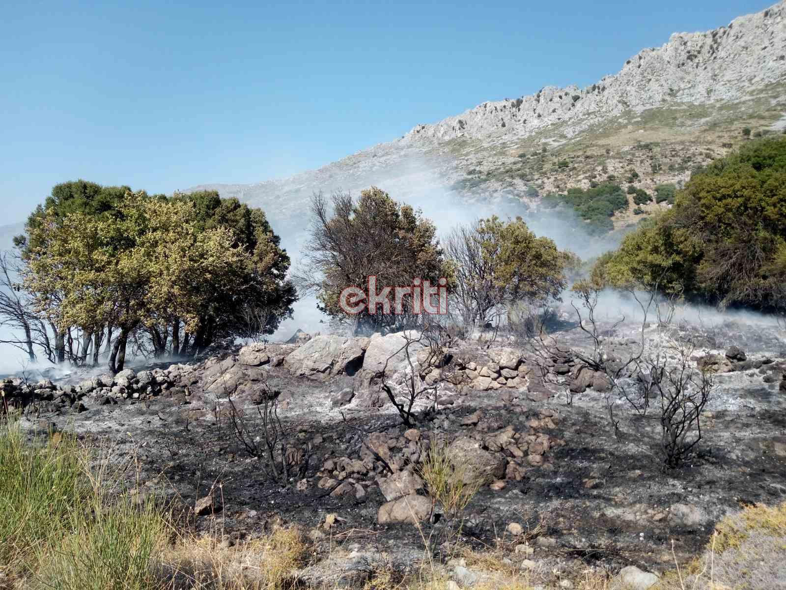 Κρήτη: Υπό έλεγχο η φωτιά που ξέσπασε σε χορτολιβαδική έκταση | ekriti.gr