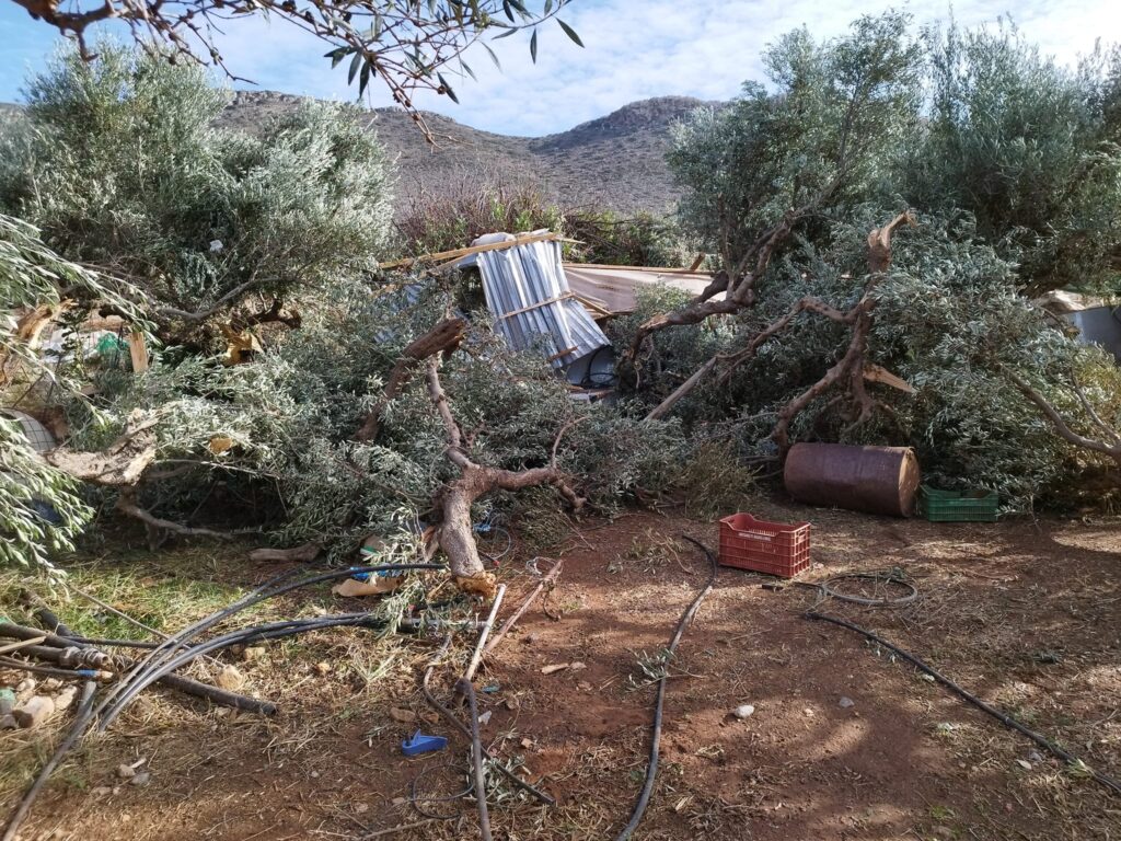 Κρήτη: Ζημιές σε θερμοκήπια και καλλιέργειες από τους ισχυρούς ανέμους ...