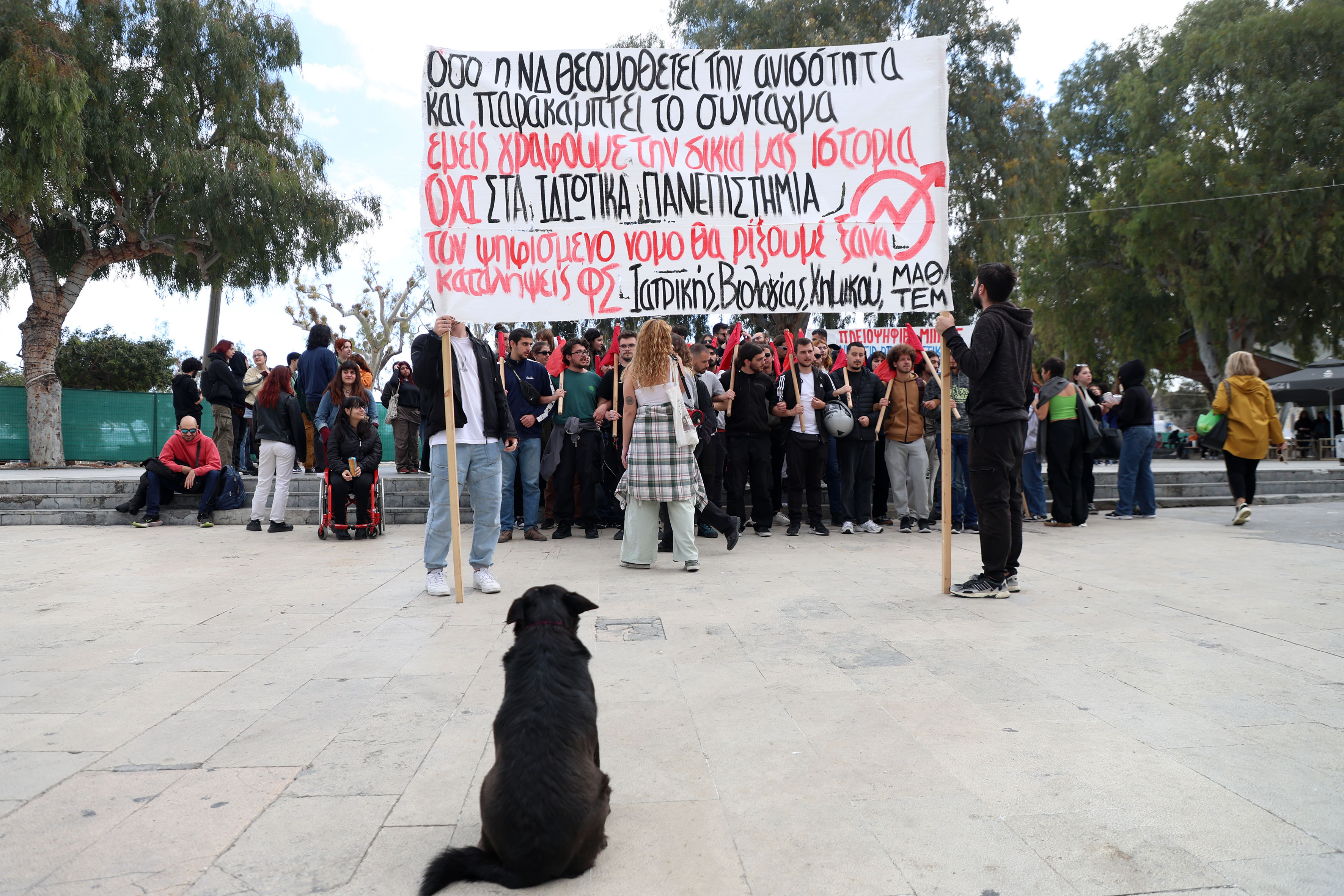 Ηράκλειο: Συλλαλητήριο ενάντια στα ιδιωτικά πανεπιστήμια (εικόνες ...