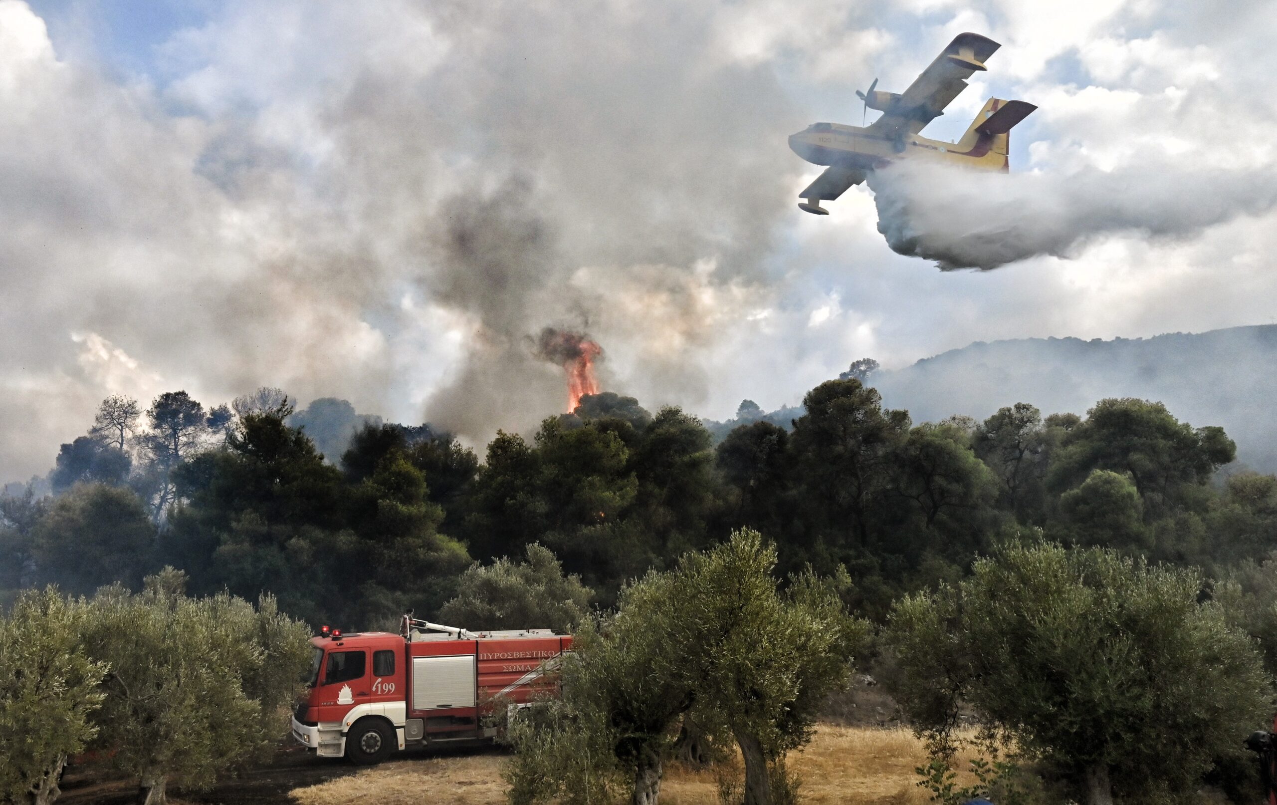 Κίνδυνος Πυρκαγιάς: Σε κατάσταση συναγερμού η Κρήτη - Που απαγορεύεται ...