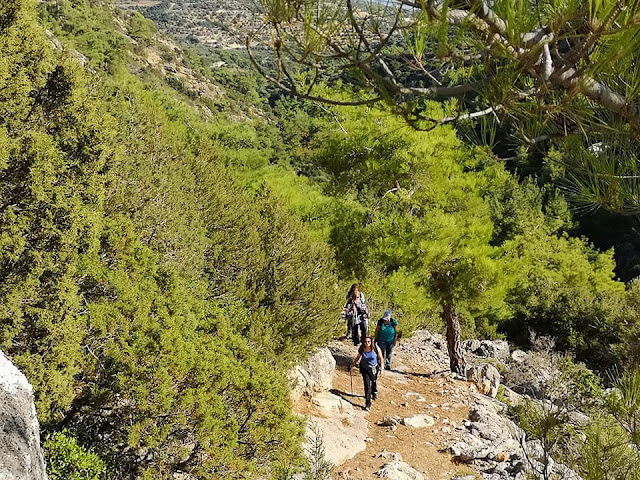 Ορειβατικός Σύλλογος Αγίου Νικολάου: Πεζοπορία στο φαράγγι της ...