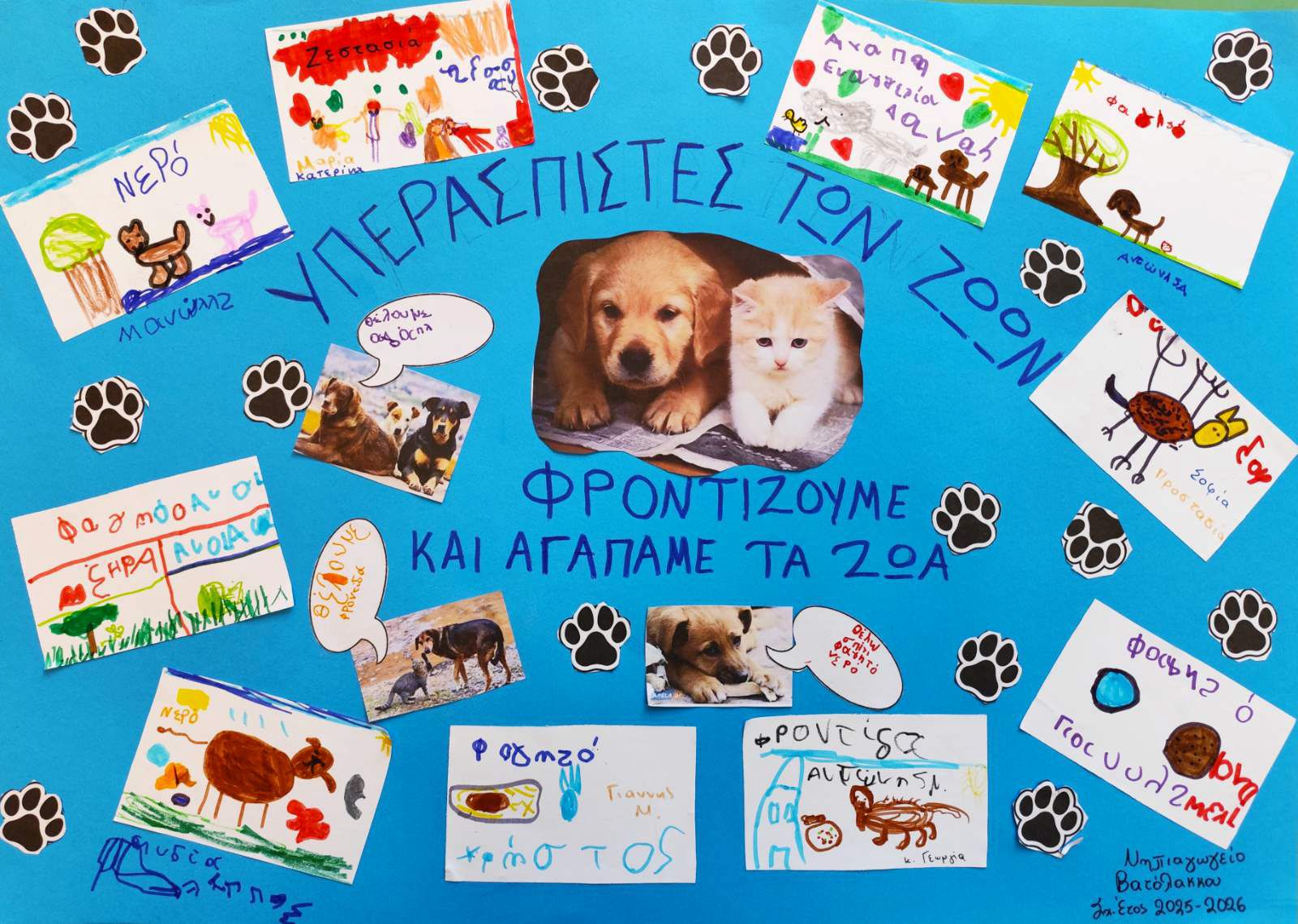Δήμος Πλατανιά: Ενημερωτική δράση για τα αδέσποτα ζώα στο Νηπιαγωγείο ...