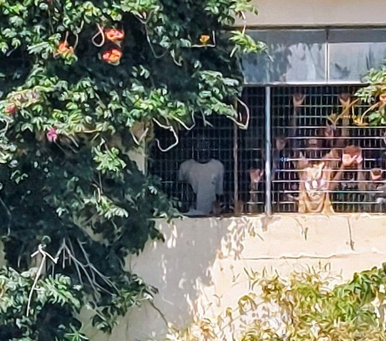 Νέα Αριστερά Ηρακλείου: Δεν υπάρχουν λαθραίοι άνθρωποι. Υπάρχουν μόνο ...