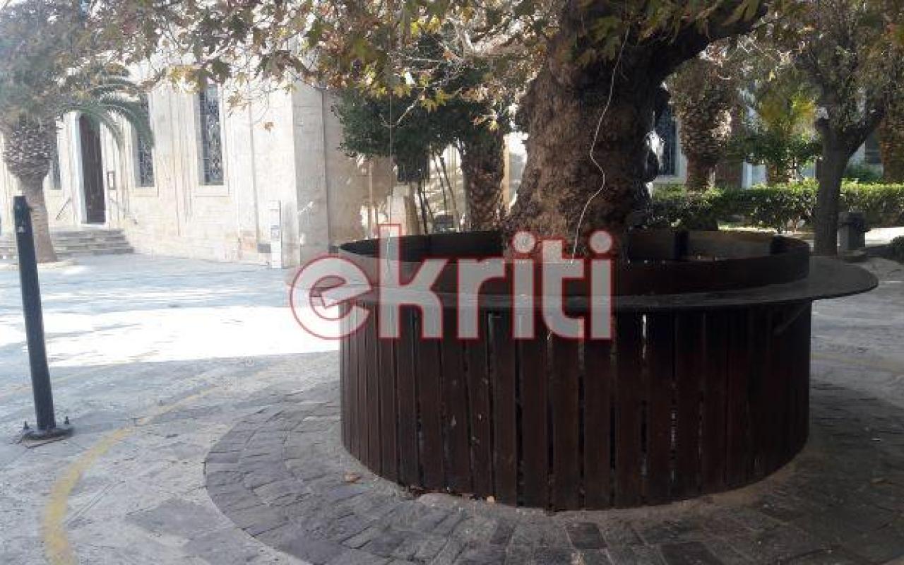 Ηράκλειο: Σκουπιδότοπος ο πλάτανος στην πλατεία του Αγίου Τίτου (φωτο ...