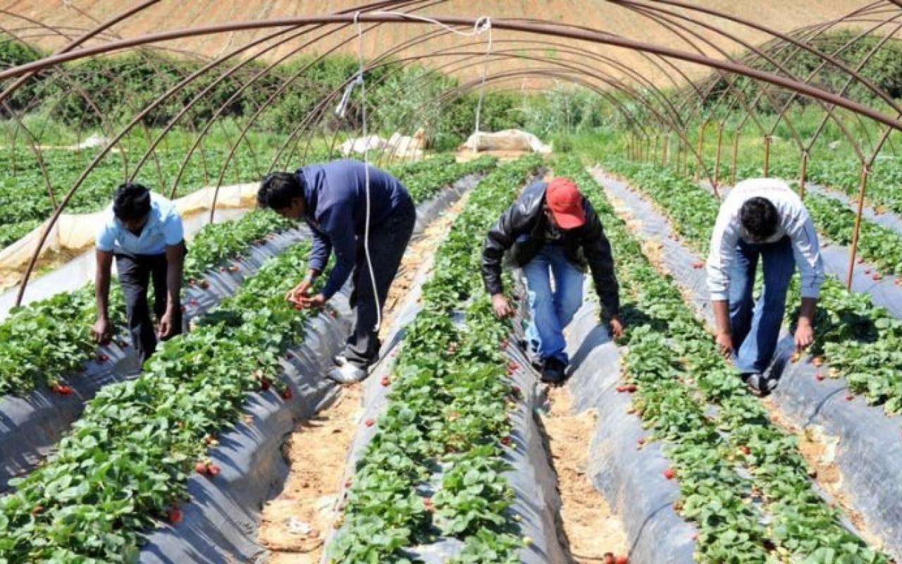 Υπ. Εργασίας: Διευκρινίζει τα περί συμφωνίας Ελλάδας – Πακιστάν για 500 ...