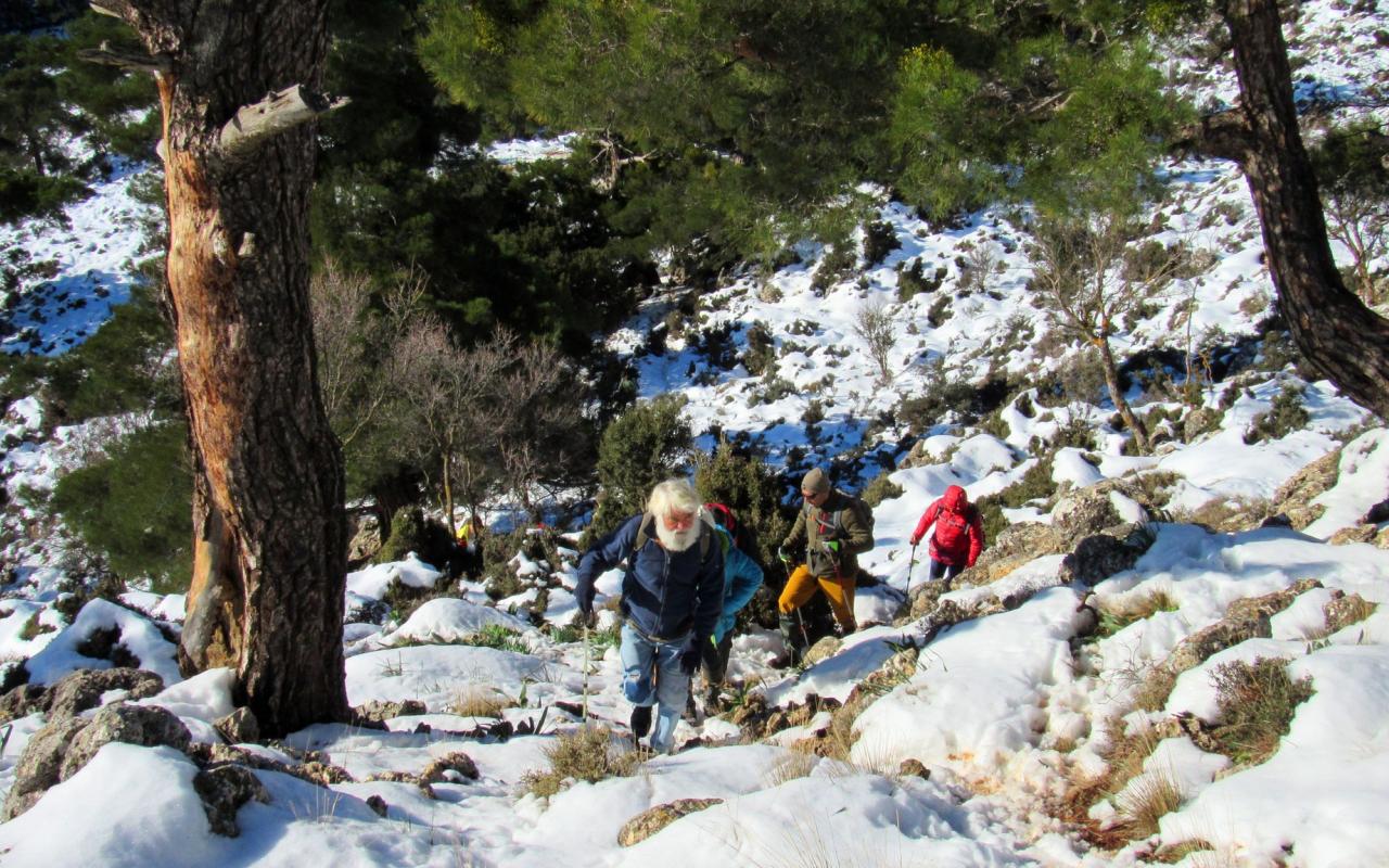 Ορειβατικός Σύλλογος Αγίου Νικολάου: Πεζοπορία στο χιονισμένο δάσος του ...