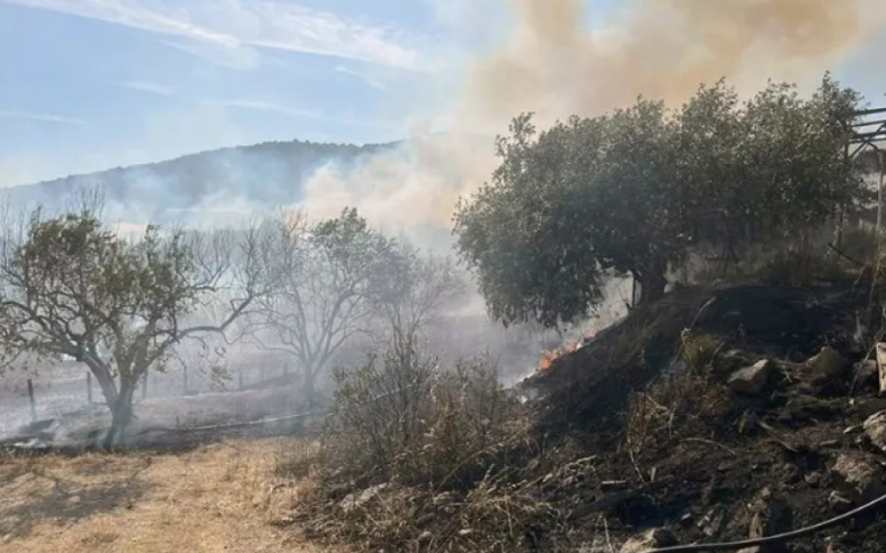 Καβάλα: Φωτιά σε δασική περιοχή - Επιχειρούν και εναέρια μέσα στην ...