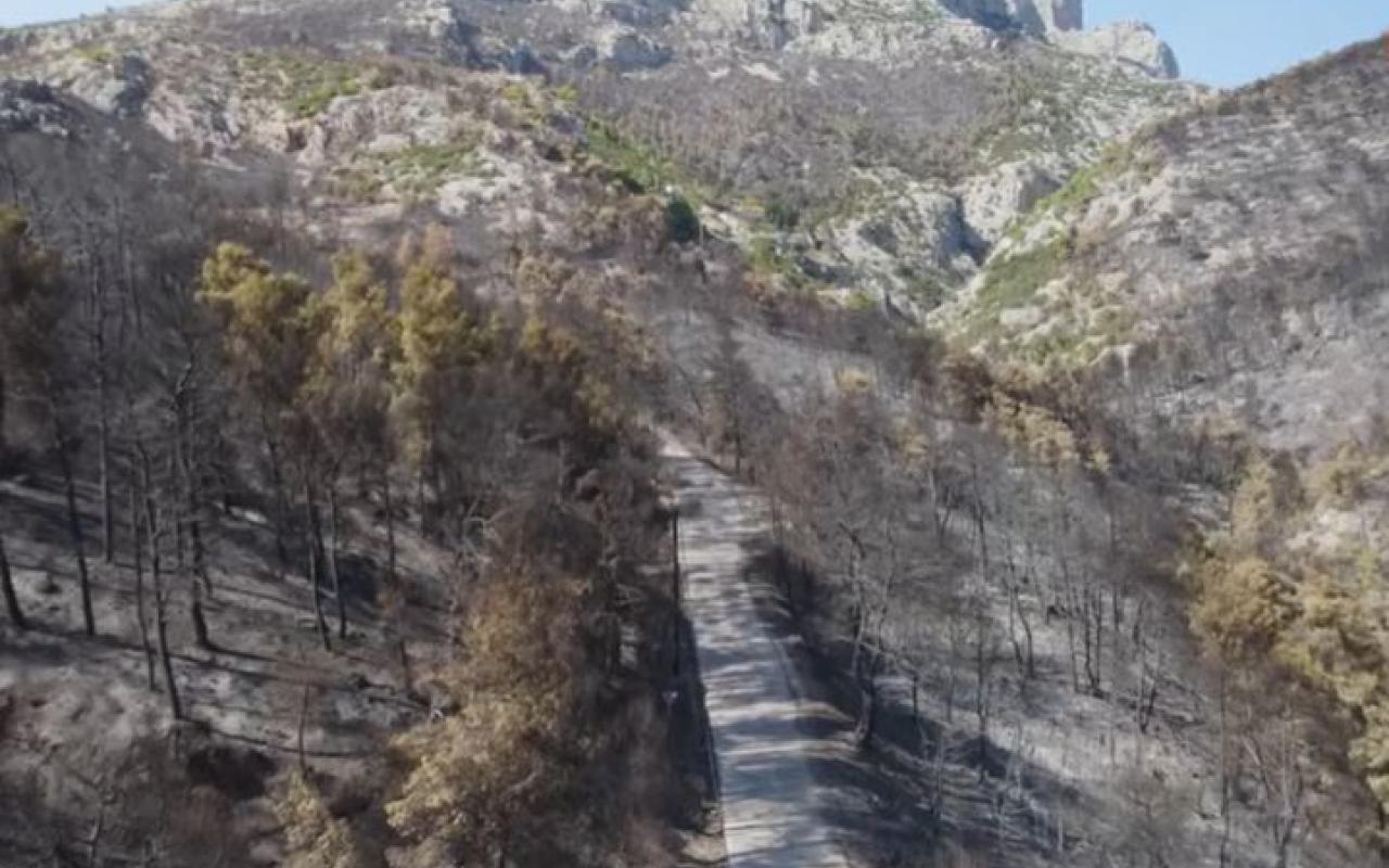 Φωτιά στη Φυλή: Το πριν και μετά της απόλυτης καταστροφής (βίντεο ...